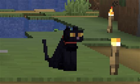 Ping Me Uofa Minecraft Club Server Wiki Fandom