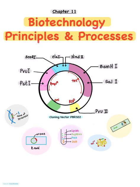Biotechnology Processes Pdf