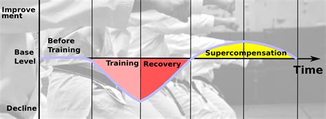 How To Plan Your Karate Training According To Science