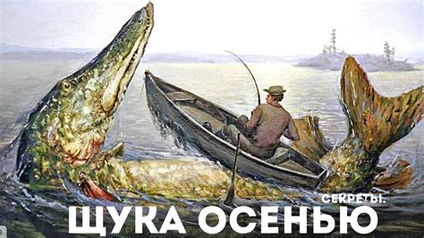 Секреты ловли щуки осенью!!! Ловля щуки на спиннинг редкие советы ...