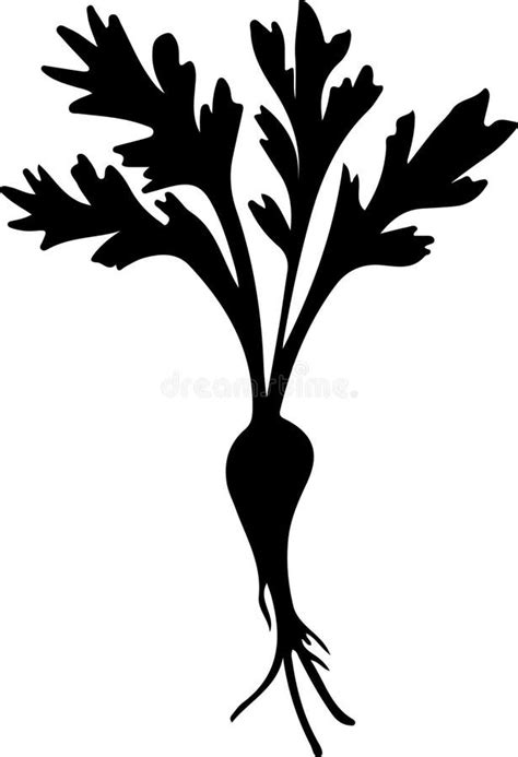 Parsnip Silhouette Stock Illustrations 57 Parsnip Silhouette Stock Illustrations Vectors Parsnip Silhouette Stock Illustrations 57 Parsnip Silhouette Stock Illustrations Vectors