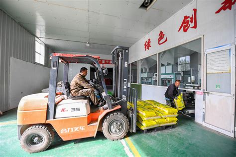 内蒙古兴安盟金秋稻田喜丰收 图片新闻 中国政府网