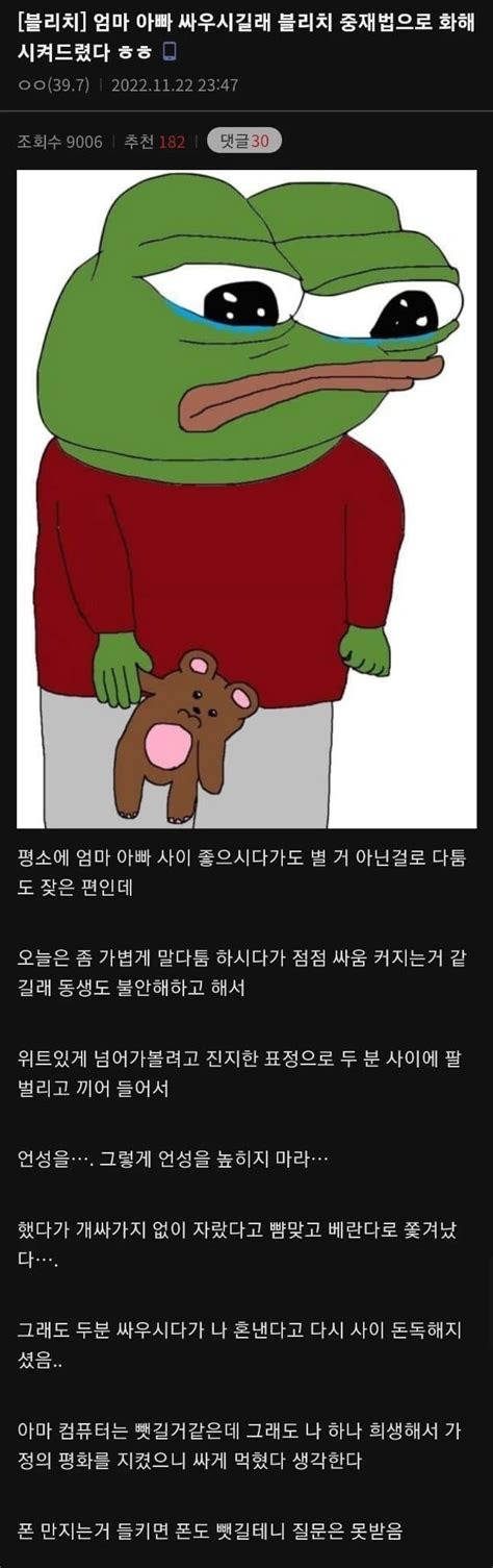 부부싸움에도 통하는 블리치식 중재법 인스티즈instiz 이슈 카테고리