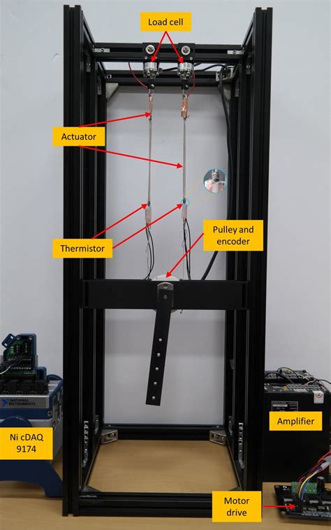 Experimental Setup For Impedance Control Of A 1 Link Robot Arm Driven