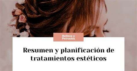 Resumen y planificación de tratamientos estéticos Publiboda