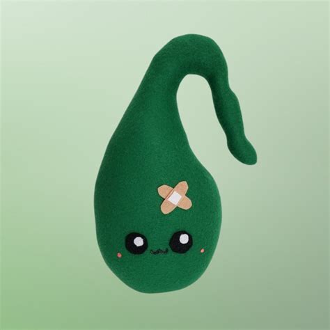 Cute Kawaii Gallbladder Plush Organ Pillow Gallbladder Removal Get Well Soon T Etsy