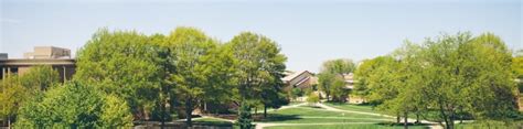 maham abrar sustainability data analyst calvin university linkedin