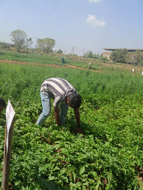 Weed Management 🌱 Priyanshu Anand
