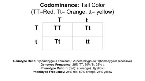 Monohybrid Crosses Pptx Genetics Science