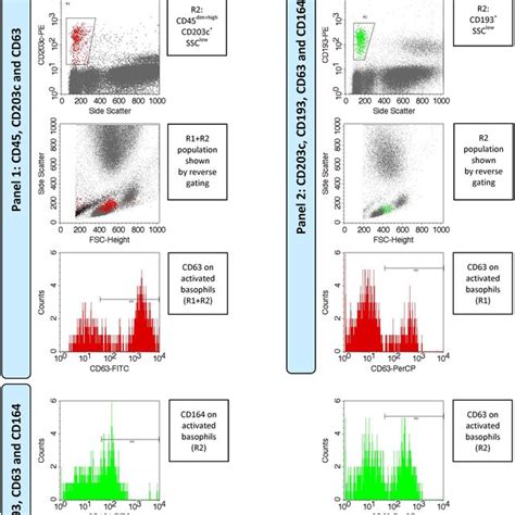 Flowchart Diagram Of The Flow Cytometry Data Analysis Download