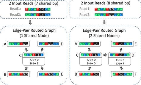 Edge Pair Routing Example The Left Side Shows Two Reads Which Differ