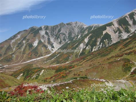 Photolibrary