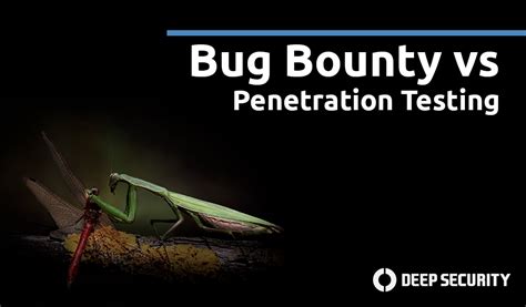 Bug Bounty Vs Penetration Testing ¿cuál Es El Enfoque Correcto