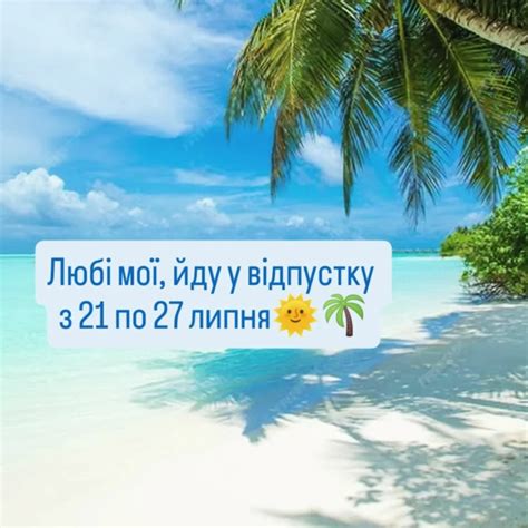 ТортиКиїв торти бенто борщагівка Бенто торти Київ область Тортик Чорний ліс без вишні👌