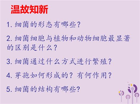 [生物] 新版 新人教版 八年级生物上册5 4 3真菌 20张ppt 课件下载预览 二一课件通
