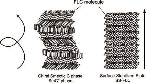Smc Phase And Ss State Ss Flc Structures Download Scientific Diagram