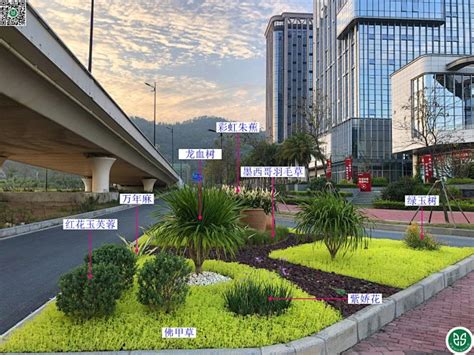 交通岛道路珠海市2022年5月