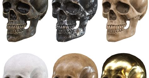 Skull Low Poly 3d Props Unity Asset Store