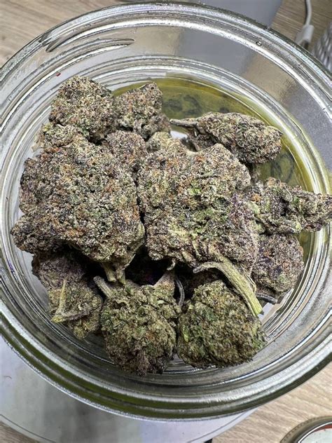 Purple Passion Strain Liveresindisposablevapes
