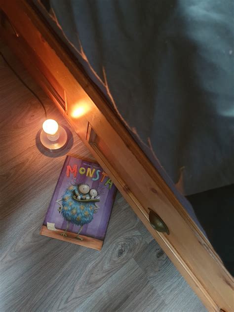 Monsta Dita Zipfel Met Illustraties Van Mateo Dineen Banger Sisters