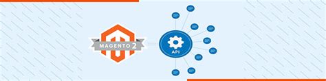 Web Rest Api In Magento 2 Bluethink Inc