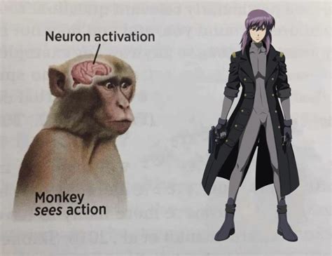 Neuron Activation Ghost In The Shell