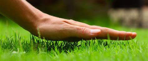 Marietta Lawn Care And Landscape Maintenance East Cobb Lawn Mowing Company