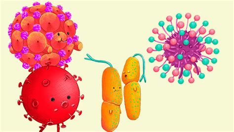 Diferencias Entre Virus Y Bacterias Moi