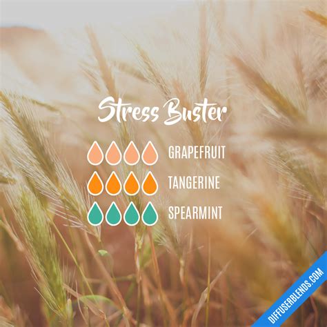 Stress Buster