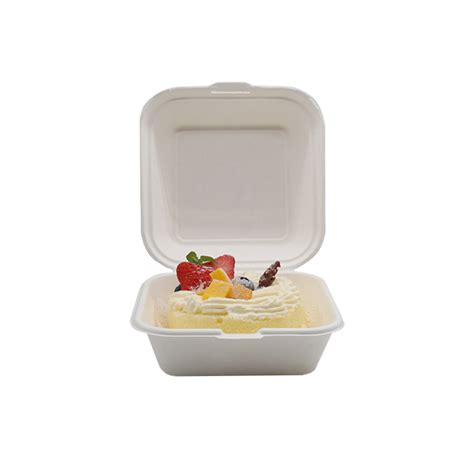 Ml Sugarcane Burg Box Hangzhou Tomato Environmental Protection