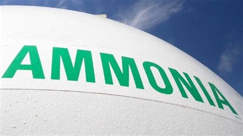Totalenergies Joins Castor Initiatives Ammonia Bunkering Coalition