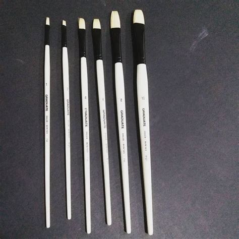 Daler Rowney Graduate Flat Bristle Hair Brushes Long Handle