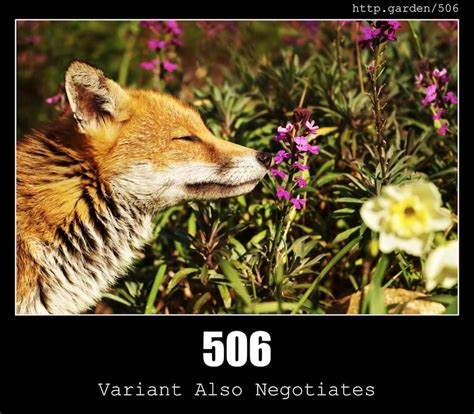 506 Variant Also Negotiates Status Code And Cats