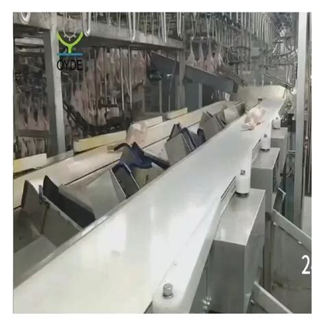 Oyde Sorting Machinery Grading Machine Weight Grader Sorter Equipment Weight Classifier