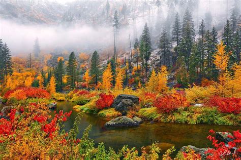 Washington State Nature And Landscape Photography Aaron Reed Photography