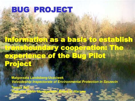 ppt bug project powerpoint presentation free download id 6700771