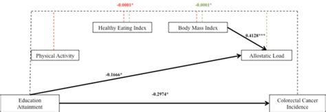 2 Direct And Indirect Effects Of Education Attainment On Colorectal