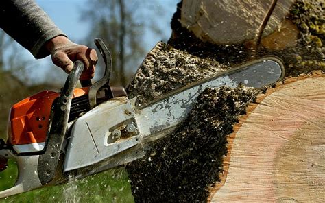 The Benefits Of Pruning Strong Wooden Construction