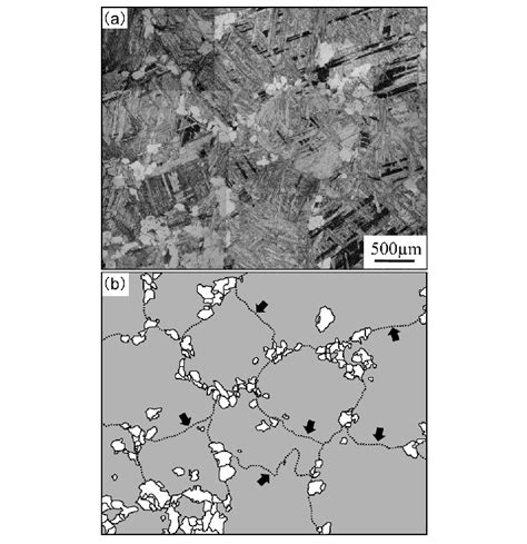 Optical Micrograph A And Tracing Figure B Of An Ultralow Carbon