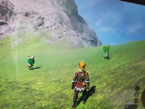 Closest Koroks Yahaha R Botw