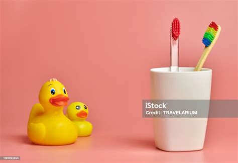칫 솔과 오리 장난감 2 개 복사 공간 구강을 보호하고 플라그와 치석을 제거하기위한 개인 관리 도구 0명에 대한 스톡 사진 및