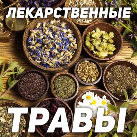 Какие травы лучше помогают при язвенном колите с анон Здоровый