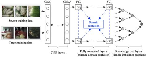 overall cnn network tan tree adaptation network for download