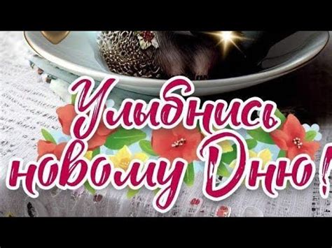 Лови позитивное субботнее утро...Доброе утро 😊😊💖 - YouTube