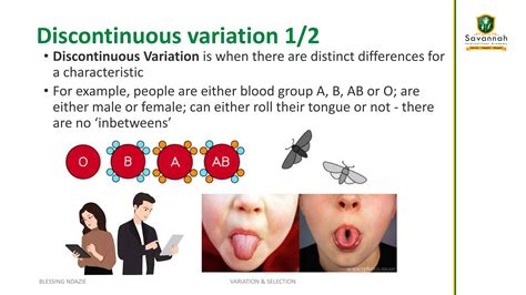 Variation And Natural Selection Igcse Biology Pdf