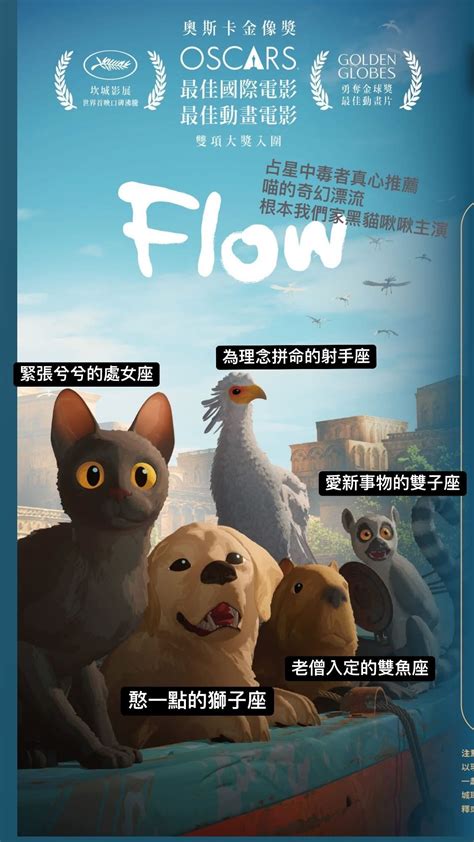 占星中毒者真心推薦 喵的奇幻漂流 有黑貓的貓奴們 應該也都覺得是自家黑貓主演的吧😋 我們家啾啾好萌！ 最近都跟啾說 你主演那部很好看耶 你真棒