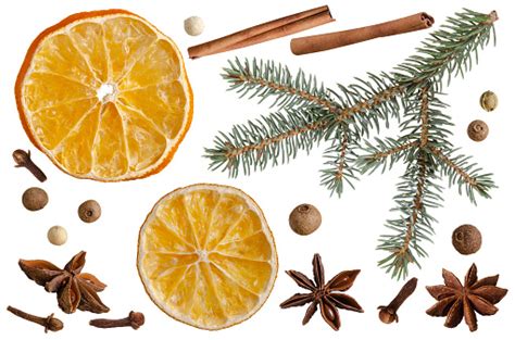 오렌지 조각 가문비 나무 가지 계피와 후추 흰색 배경에 고립 된 Mulled 와인 세트에 대한 향신료 가문비나무에 대한 스톡 사진 및 기타 이미지 Istock