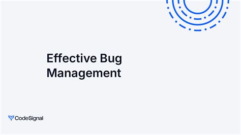 Effective Bug Management Codesignal Learn