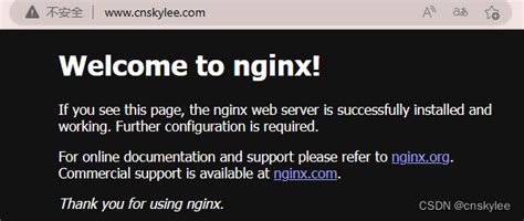 【nginx】nginx配置加固之阻止恶意域名访问nginx限制域名访问 Csdn博客