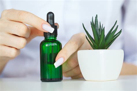 뷰티 화장품 과학 과학자 미용 제품 대체 건강 한 의학에 대 한 유기농 원료를 준비 Formulating와 허벌 에센스와 함께 스킨케어를 혼합 Stem 주제에 대한 스톡